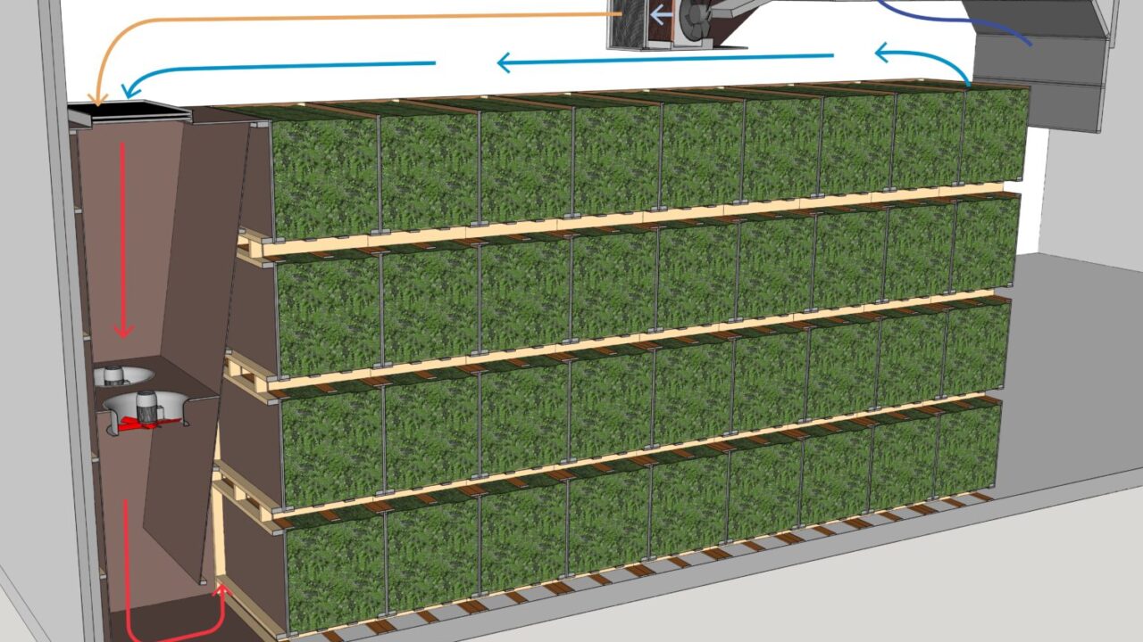 Hemp Flower | Hemp-Drying.com